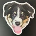 Australian Shepherd (aussie) Dog Vinyl Waterproof Sticker for Water ...