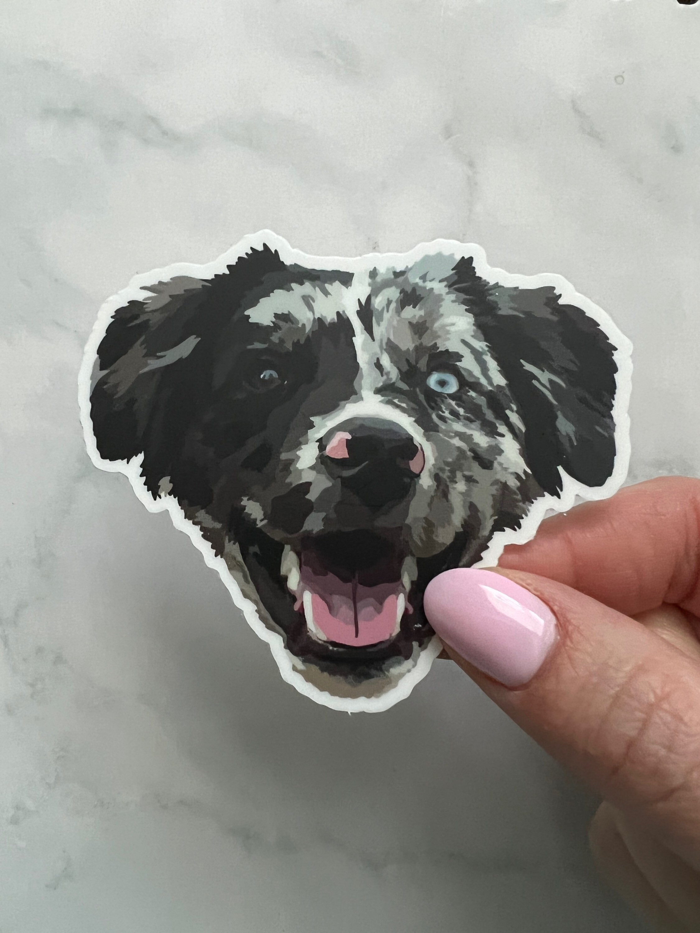 Australian Shepherd (aussie) Dog Vinyl Waterproof Sticker for Water ...