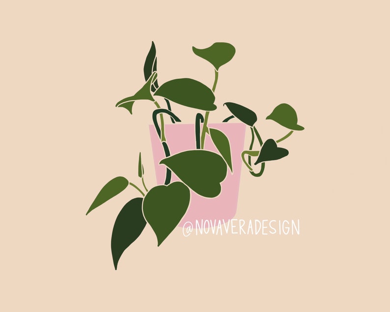 Pothos SVG File, Digital Download for Cricut, Silhouette, Etc. (PDF ...