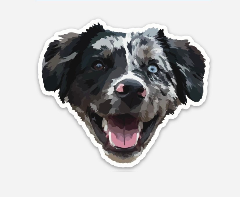 Australian Shepherd (aussie) Dog Vinyl Waterproof Sticker for Water ...