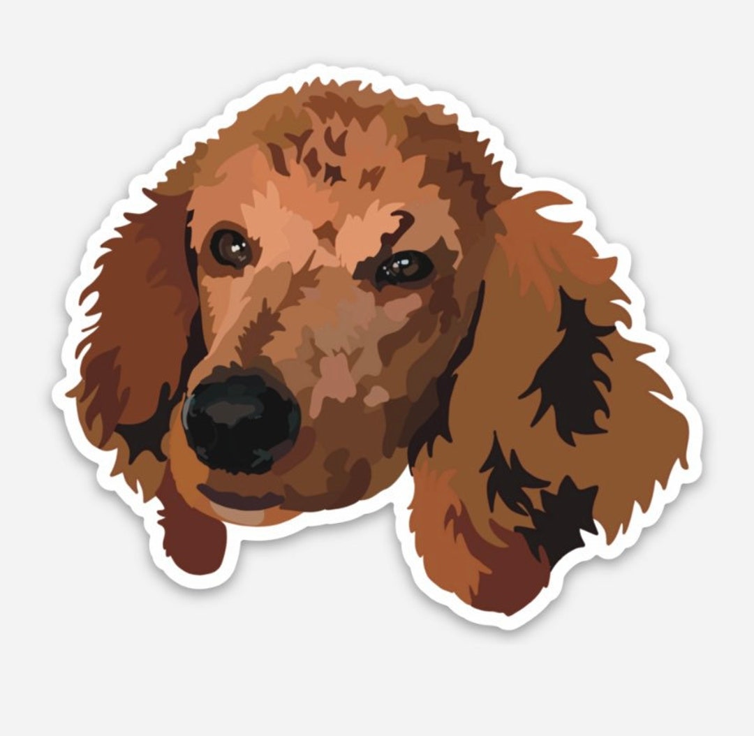 Red Poodle Dog Sticker | Vinyl Decal | Waterproof & Weatherproof ...