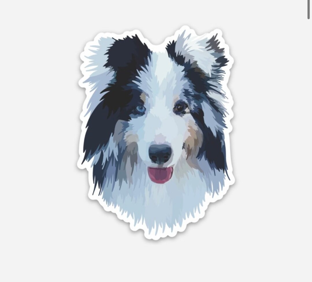 Blue Sheltie Dog Sticker | Vinyl Decal | Waterproof & Weatherproof ...