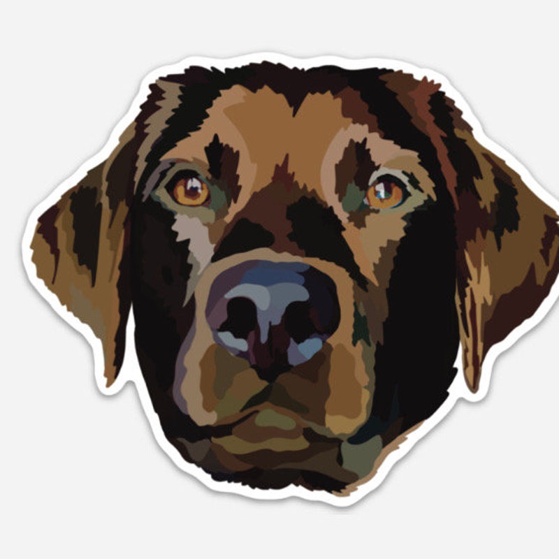 Chocolate Lab - Etsy