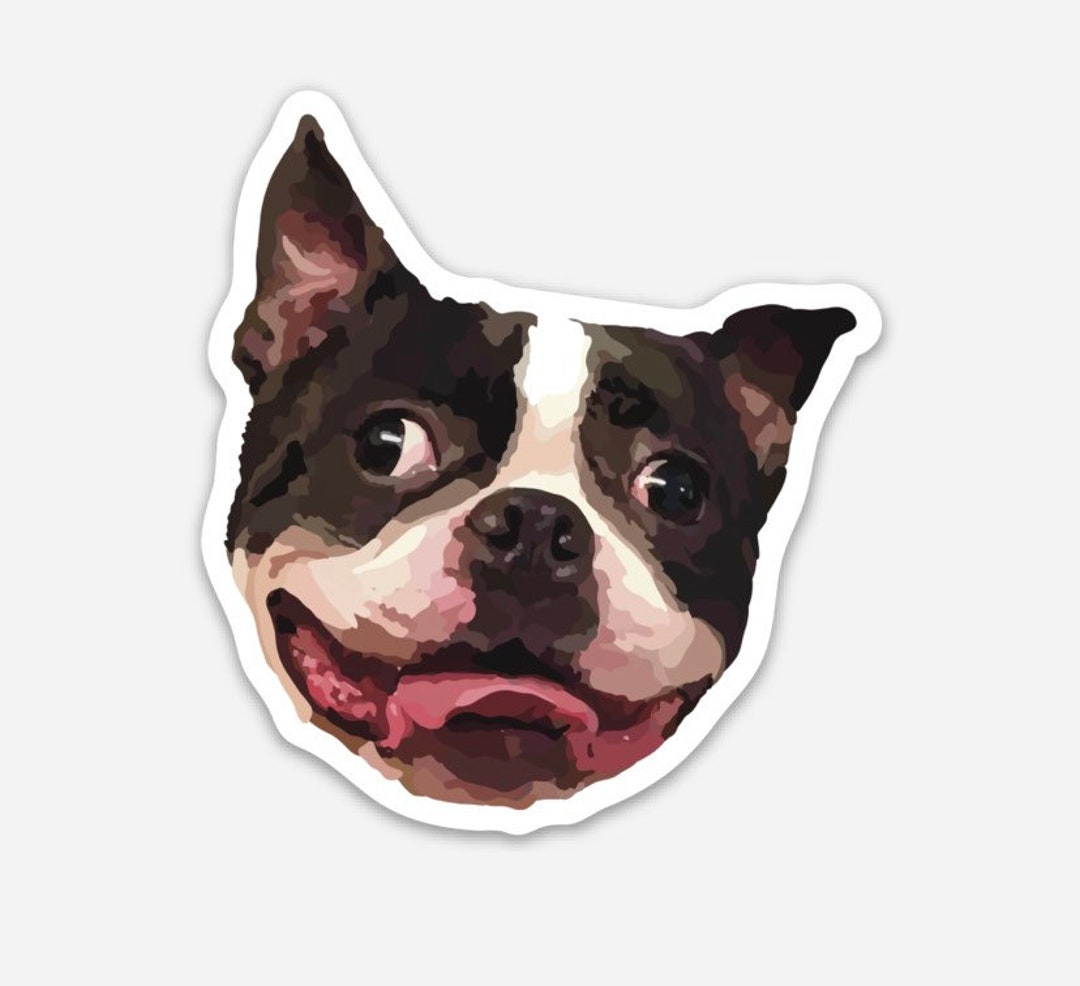 Boston Terrier Goofy Dog Sticker | Vinyl Decal | Waterproof ...