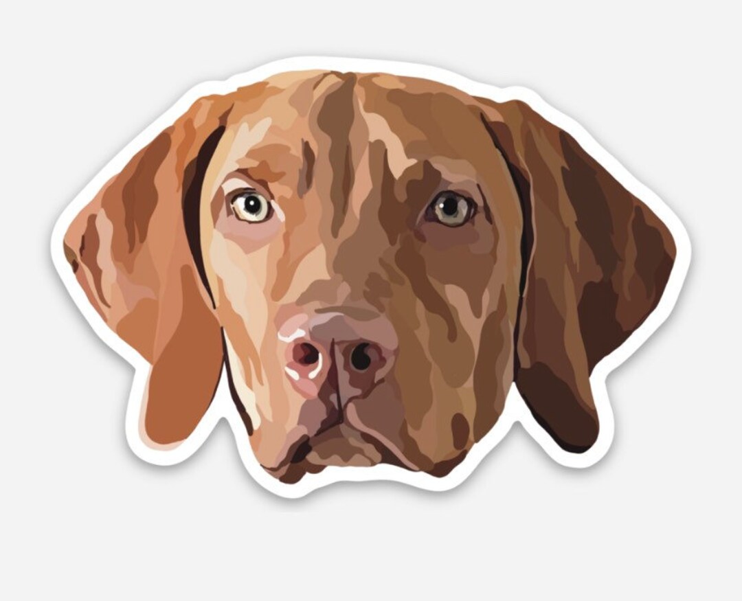 Vizsla Dog Sticker | Vinyl Decal | Waterproof & Weatherproof | Water ...