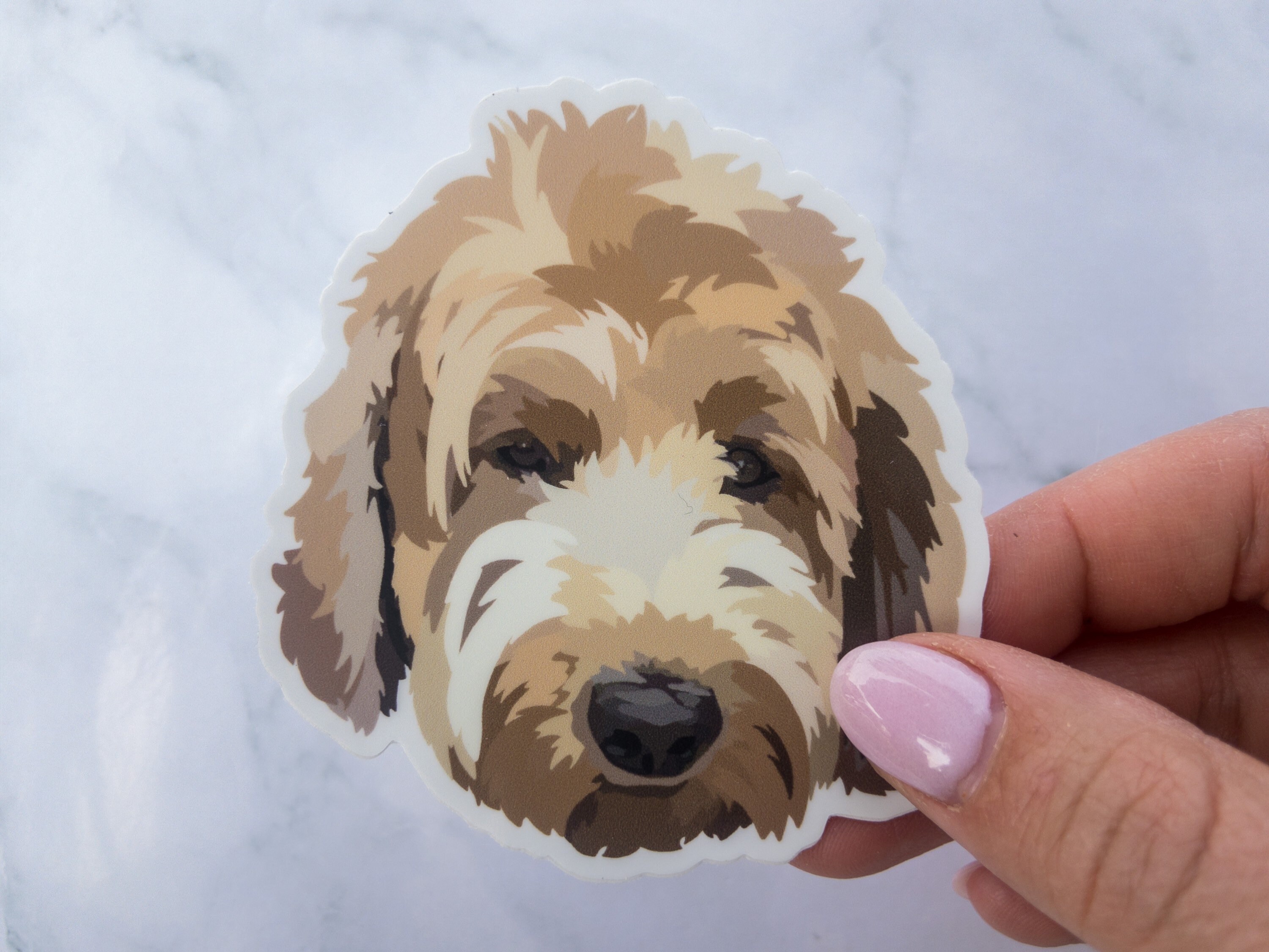 Labradoodle Dog Sticker for Hydro Flask or Laptop or Journal | Etsy