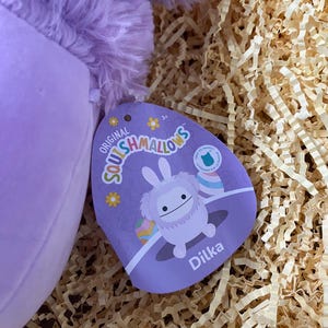 Personalized 8” Dilka Monster Squishmallow Plush Gift Pillow Easter ...