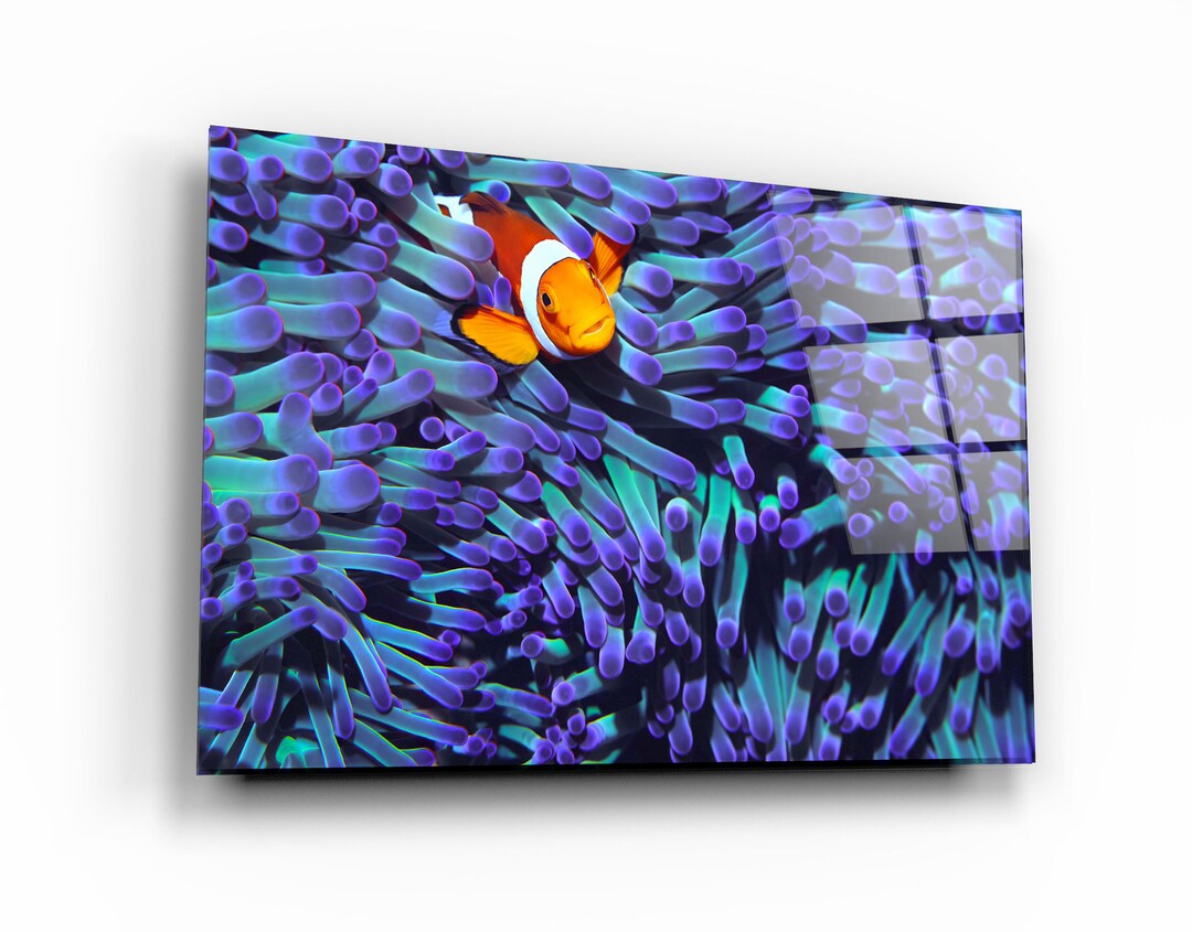 Nemo - Glass Printing Wall Art - Glass Wall Art - Home Decoration ...