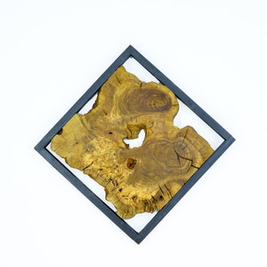 Olive Tree Slices Butterfly- Handmade Wooden Wall Art - Home Decoration ...