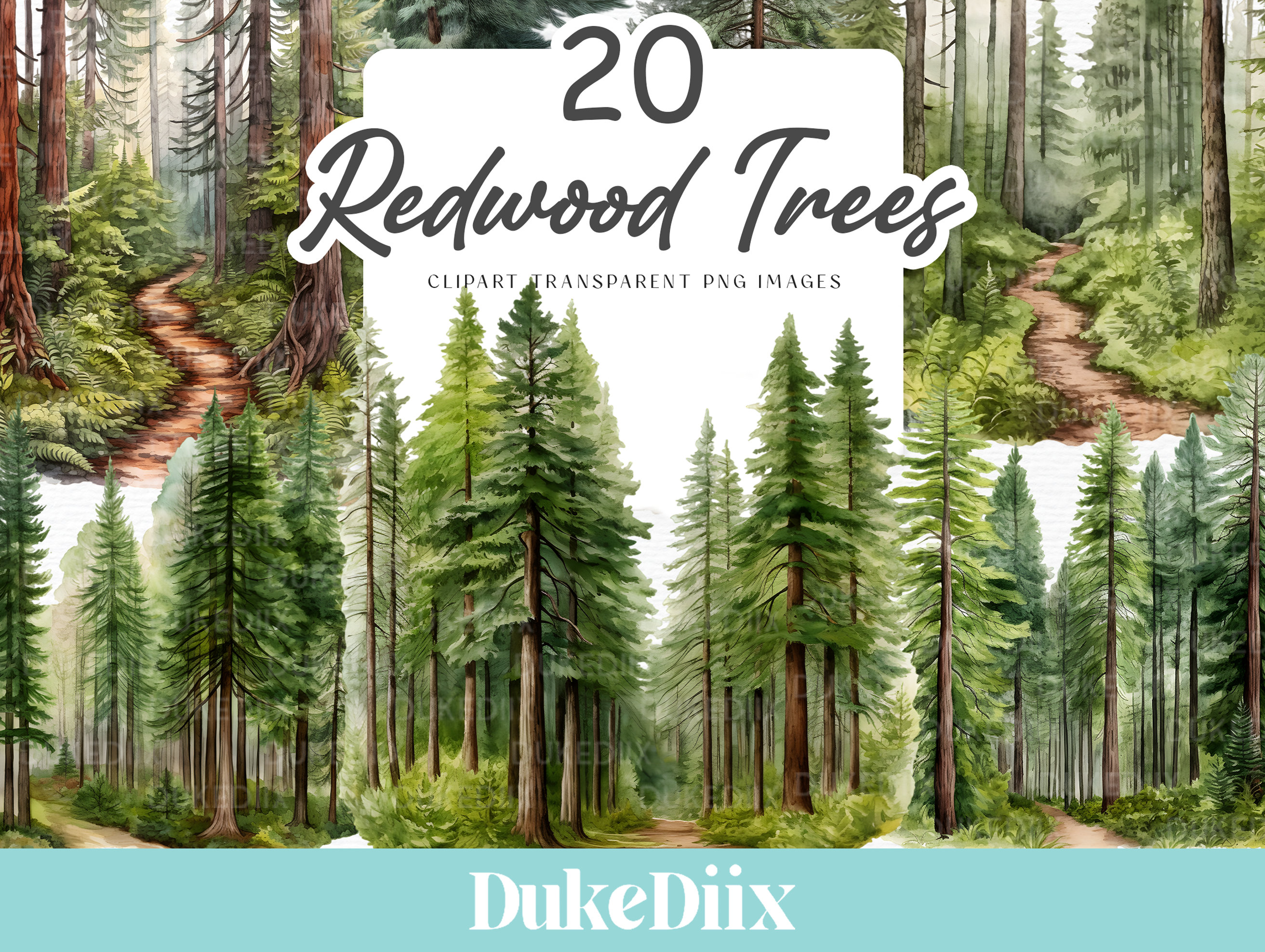 Redwood Tree Clip Art