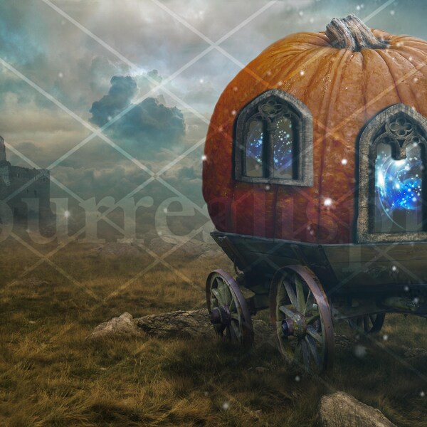 Cinderella Backdrop - Etsy