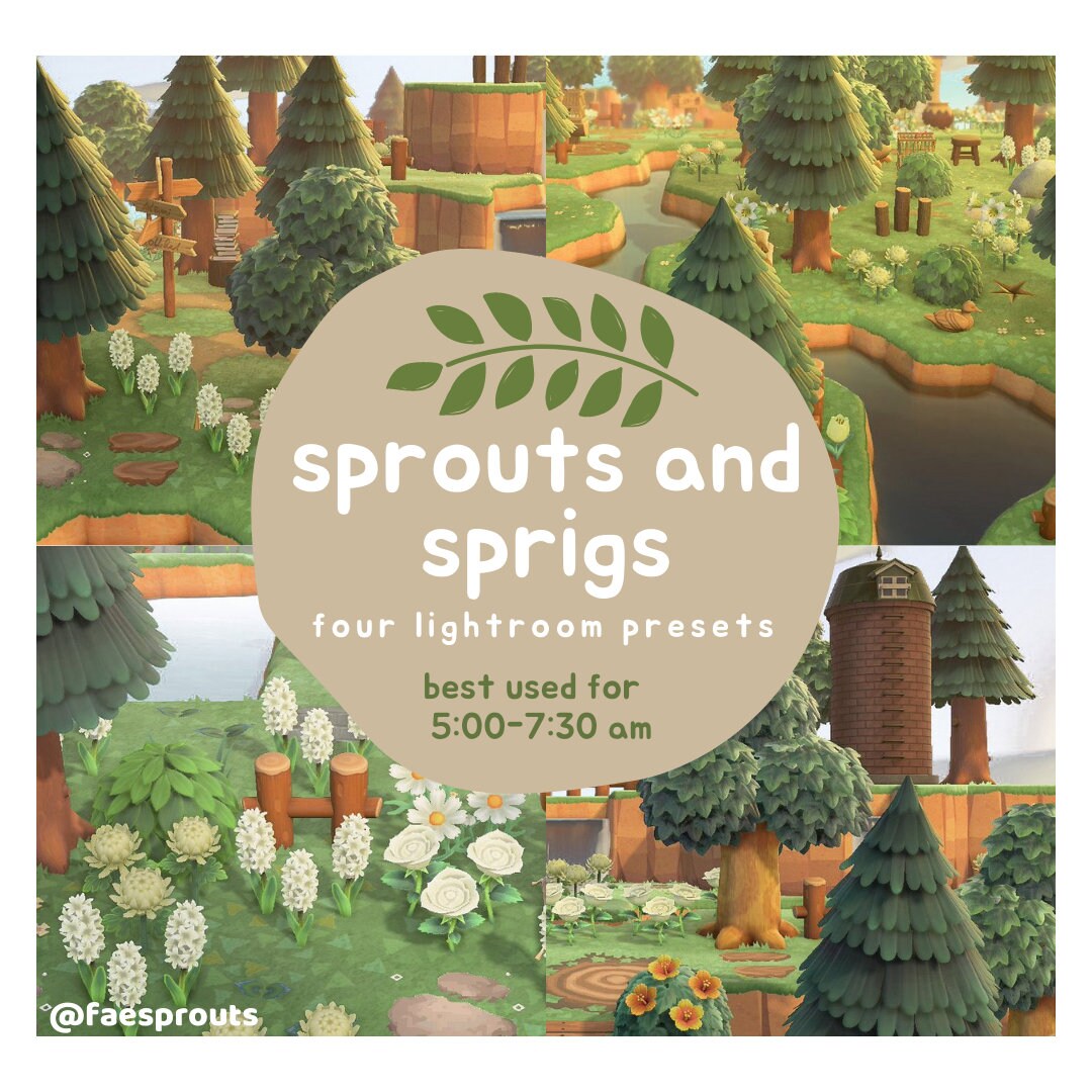 Sprouts and Sprigs: Lightroom Presets - Etsy