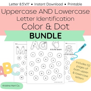 Uppercase and Lowercase Letter Identification, PRINTABLE, Homeschool ...