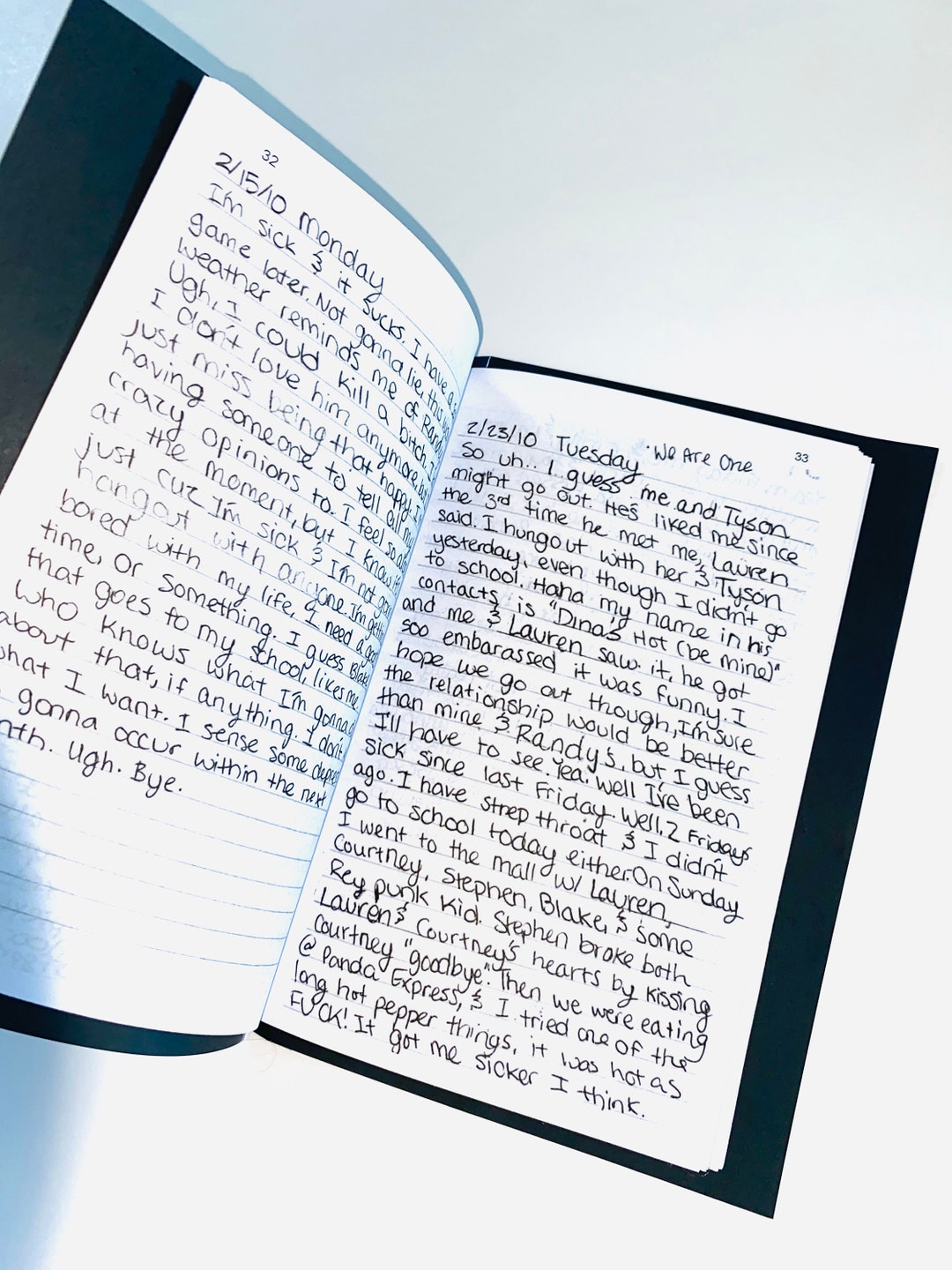 2009-2010 Used Handwritten Diary of 14-year-old Dina Lily Printed Copy ...