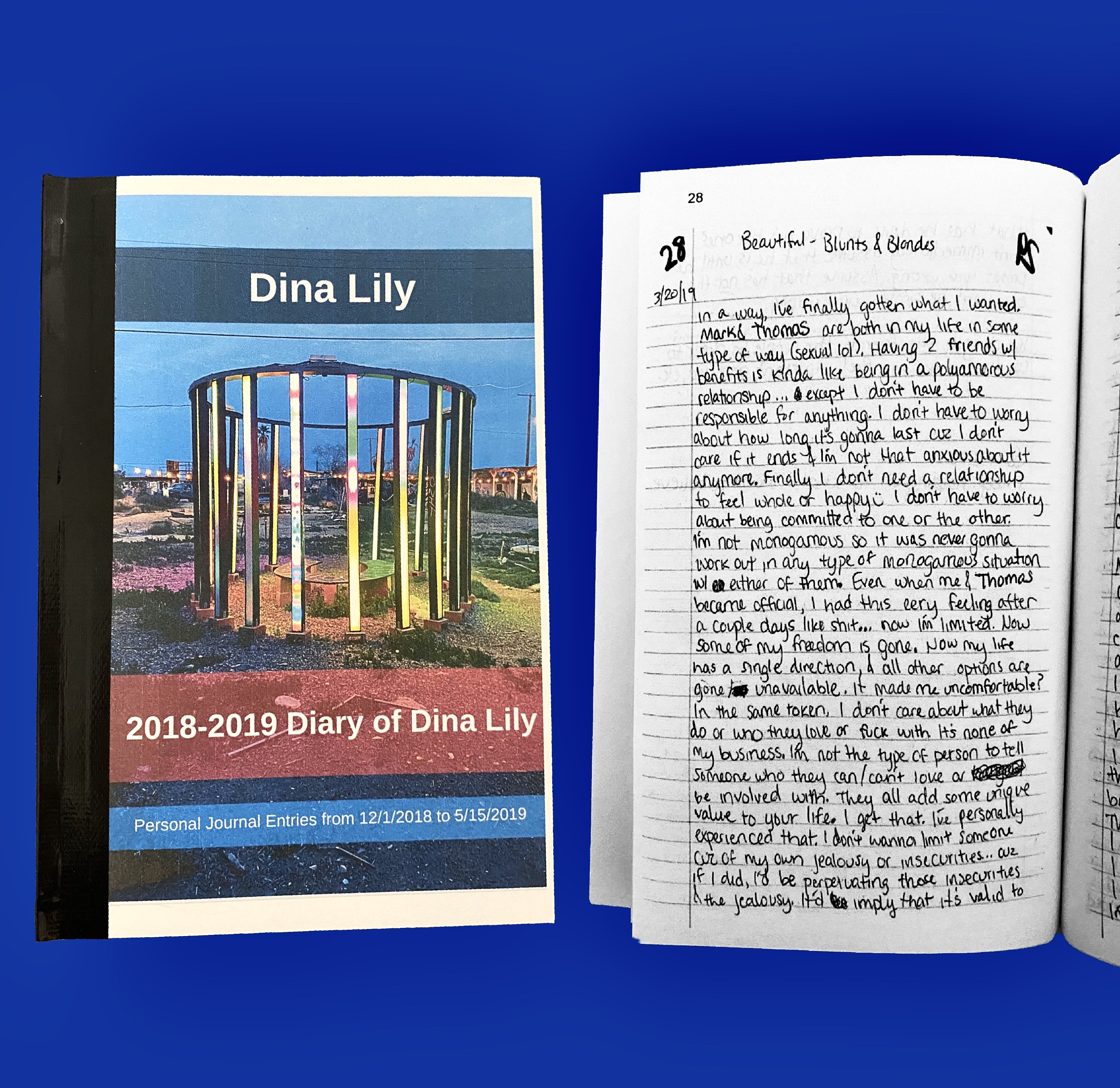 2018-2019 Used Handwritten Diary of 23-year-old Dina Lily (printed Copy ...