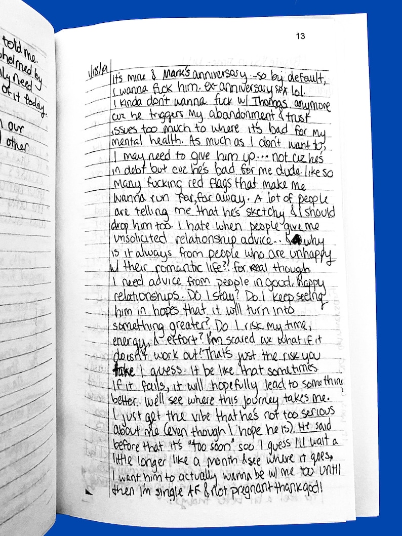 2018-2019 Used Handwritten Diary of 23-year-old Dina Lily (printed Copy ...