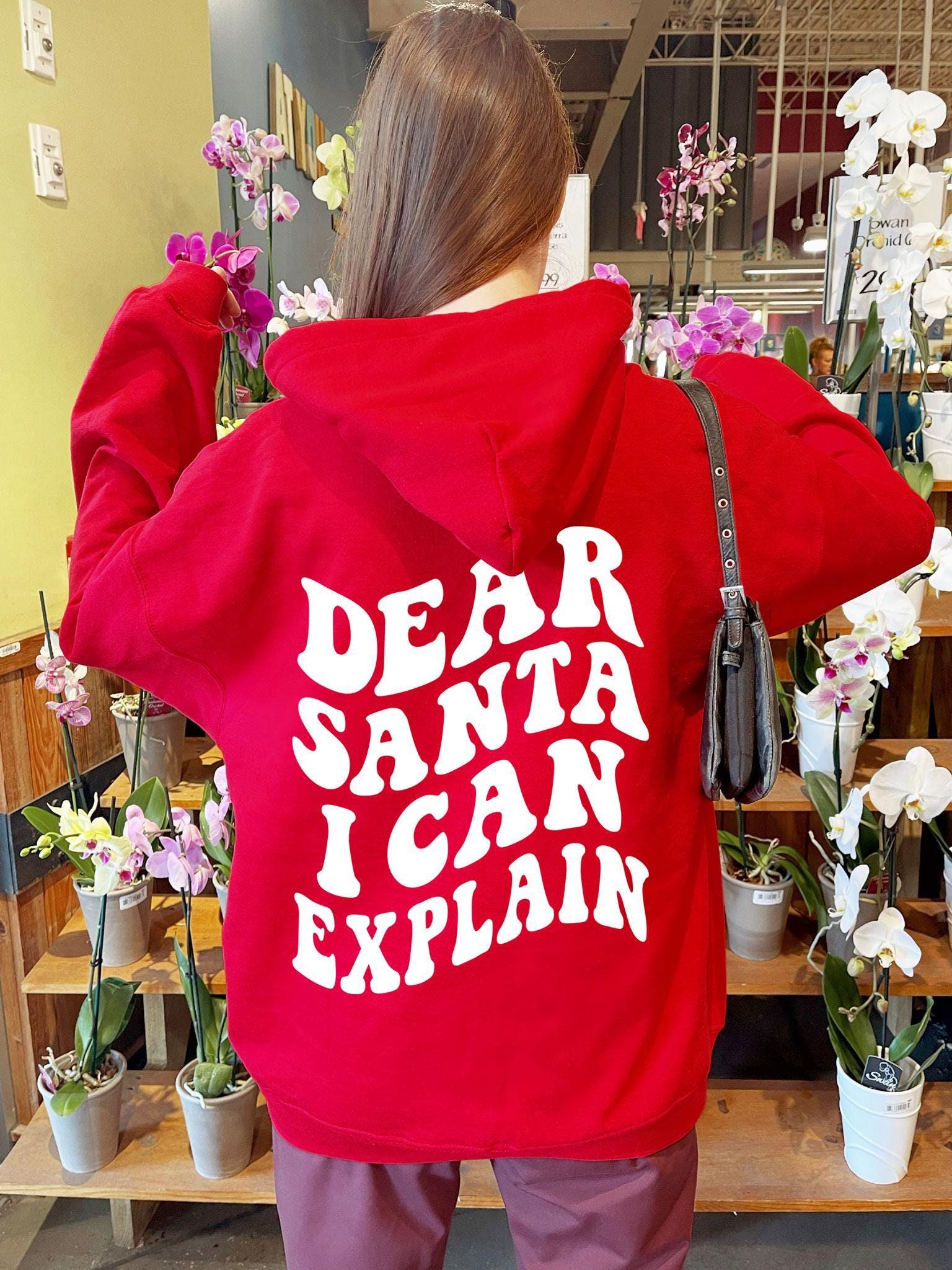 Dear Santa I Can Explain Hoodie Dear Santa Sweatshirt Dear Santa Shirt ...