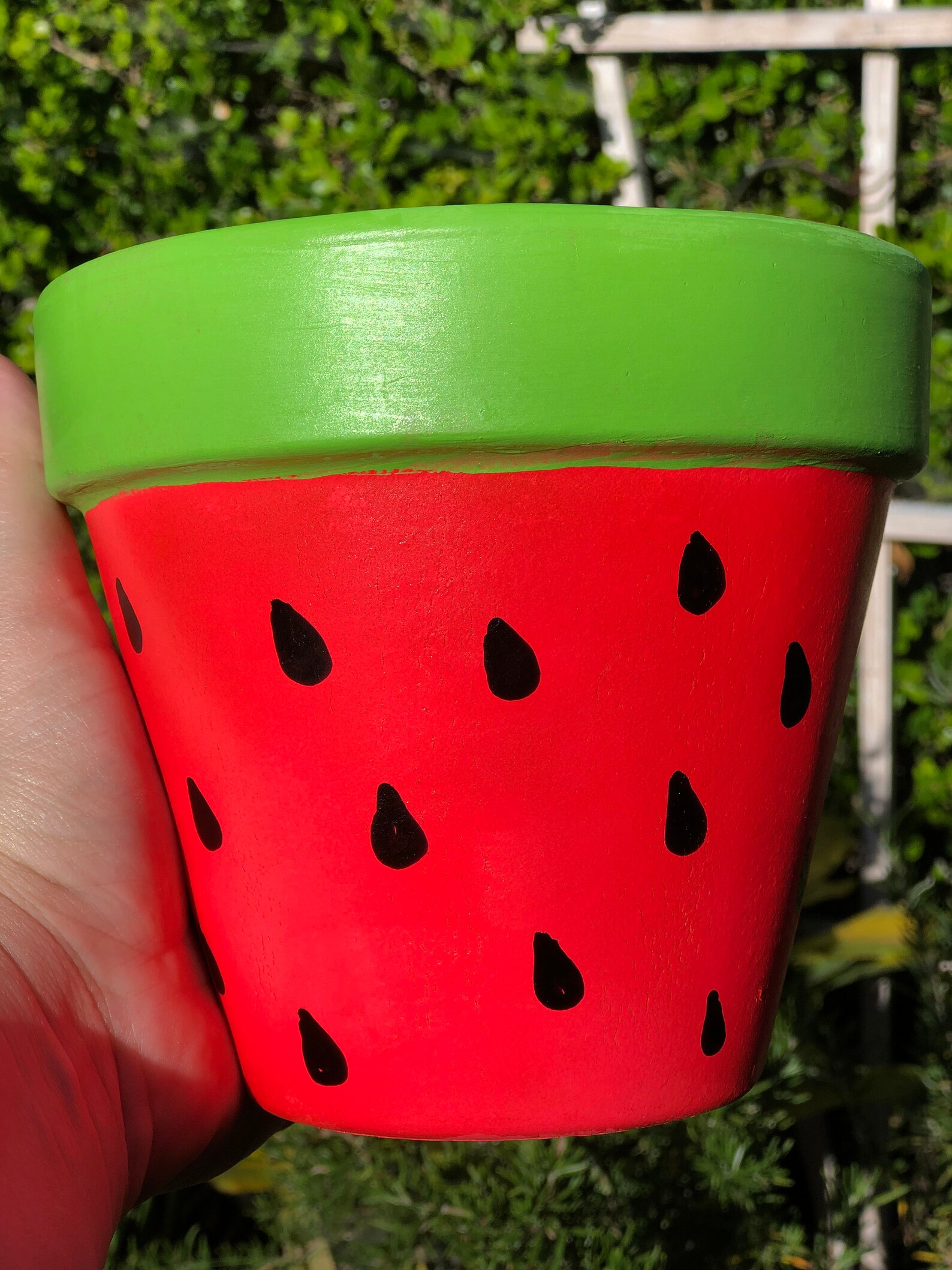 Watermelon Pots | Etsy