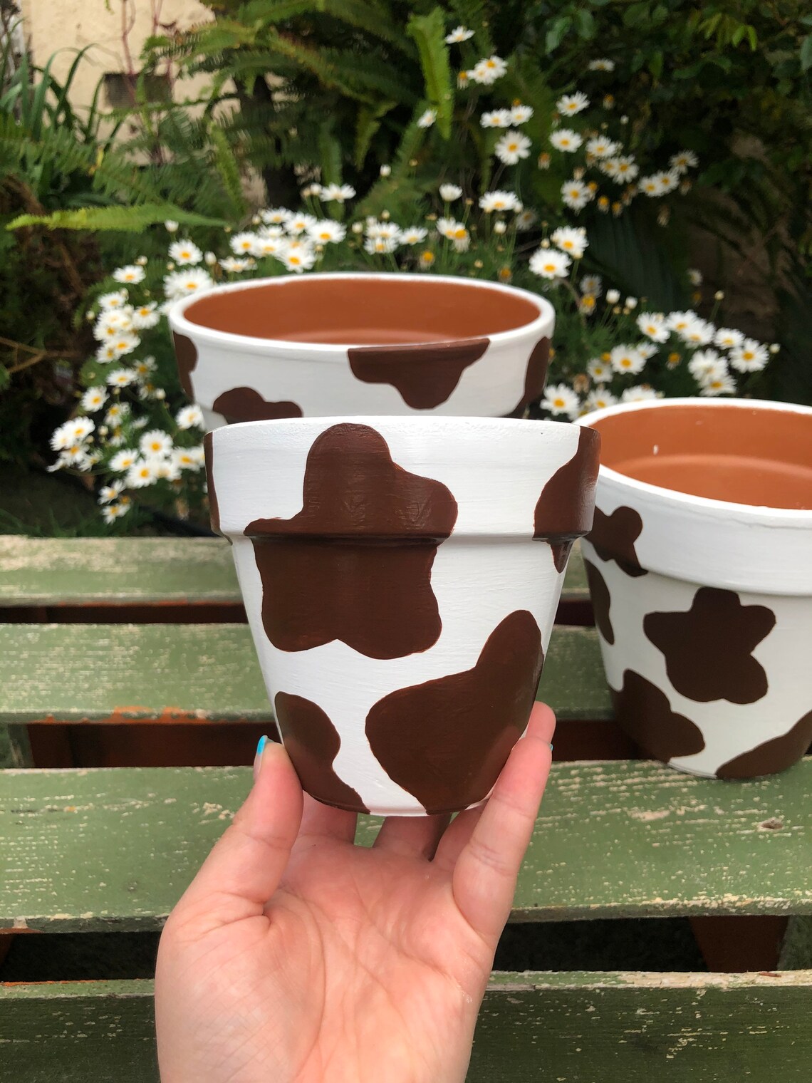 Hand Painted Cow Print Pots - Etsy
