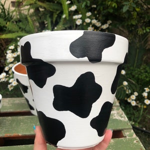 Hand Painted Cow Print Pots - Etsy