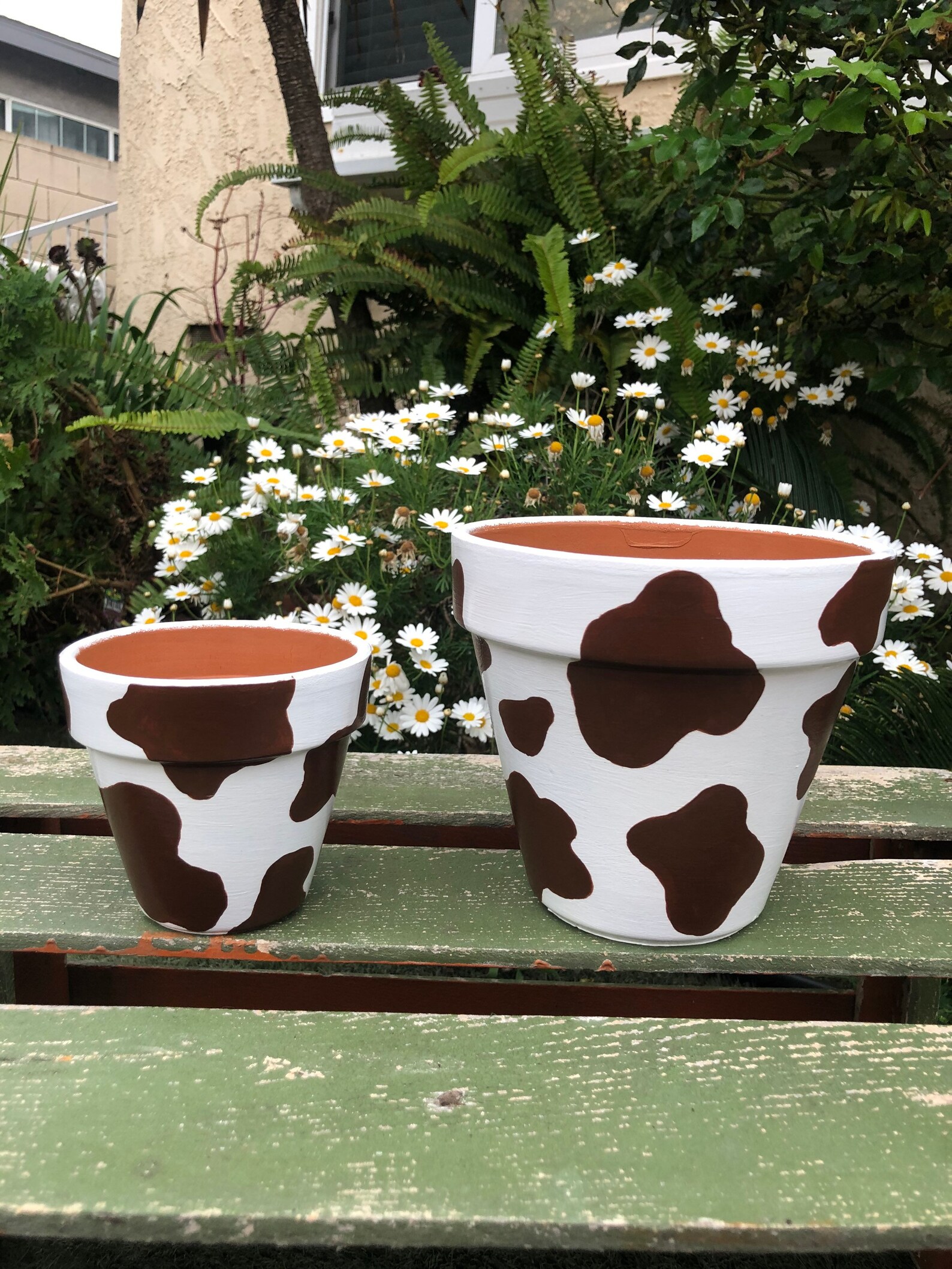 Hand Painted Cow Print Pots - Etsy