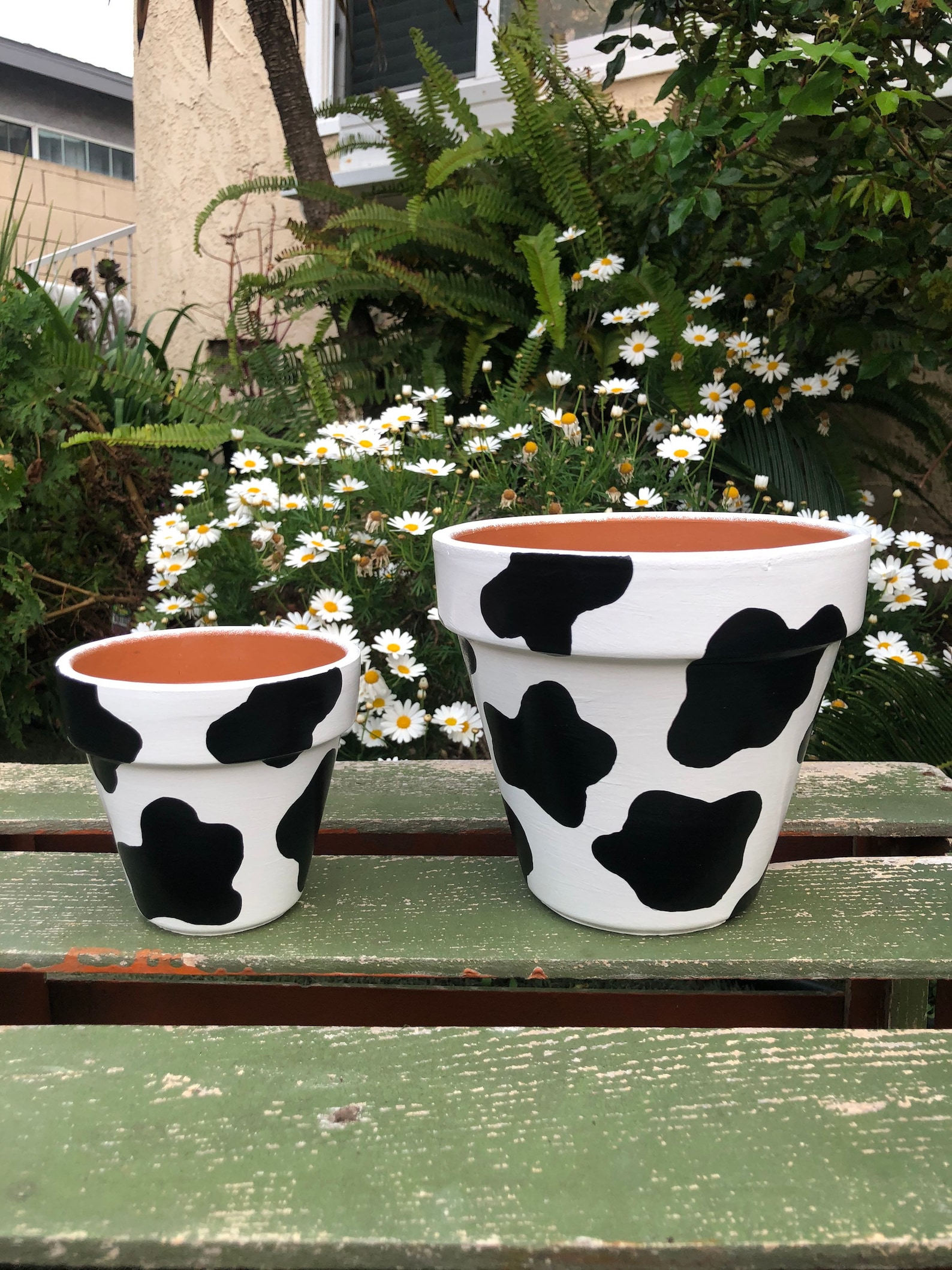 Hand Painted Cow Print Pots - Etsy