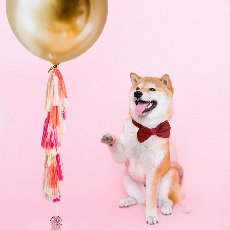 Tropical Pink Paper Tassel Tail With 20 Tassels, DIY Tissue Paper ...
