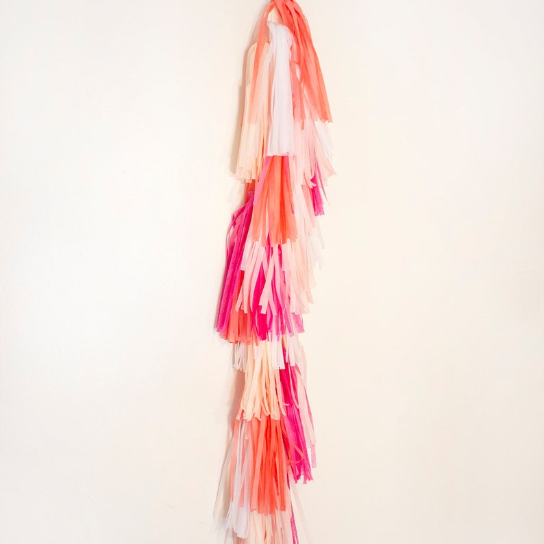 Tropical Pink Paper Tassel Tail With 20 Tassels, DIY Tissue Paper ...