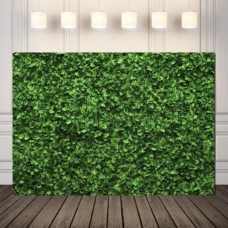 Boxwood Greenery Backdrop 5x7 Feet Vinyl Greenery Safari Baby - Etsy Canada