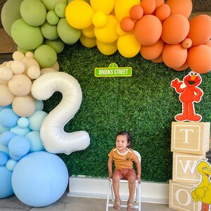 Colorful Retro Balloon Arch Kit, Kids Themed Birthday Balloon Kit, Kids ...