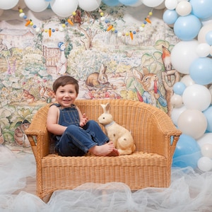 Peter Rabbit Backdrop (5x7 Feet), Pastel Easter Woodland Baby Shower ...