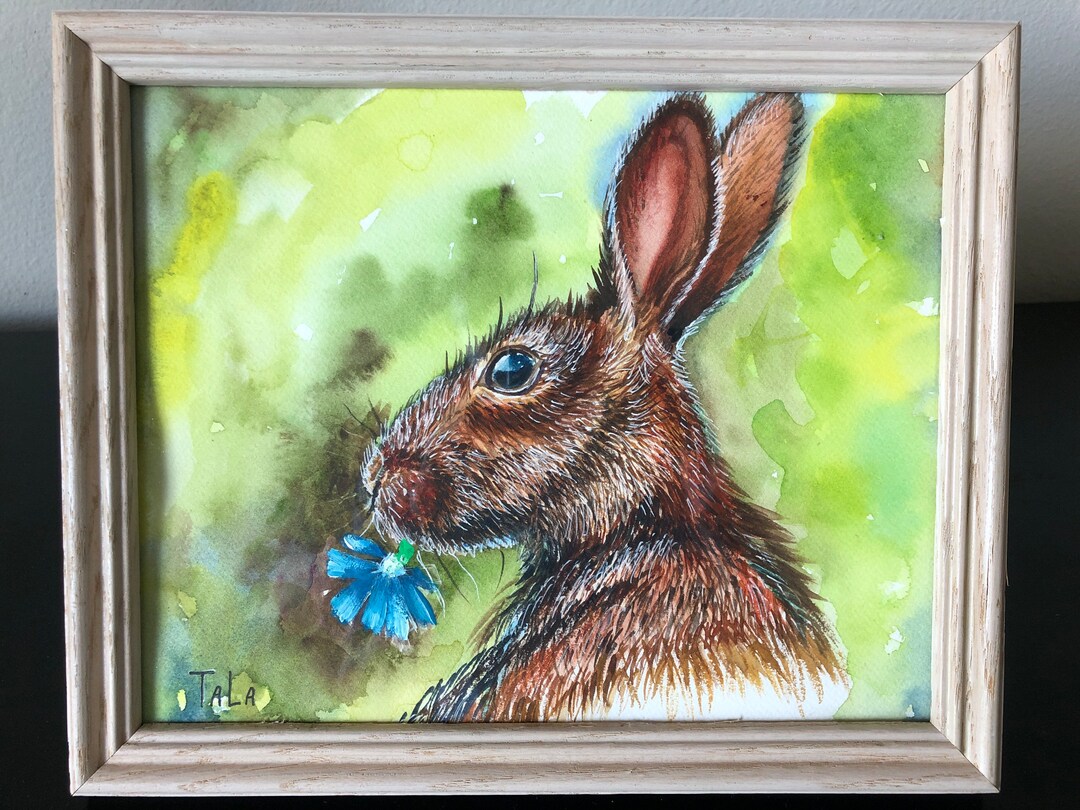Jack Rabbit Original Art Watercolor Painting Wildlife 10x8 - Etsy