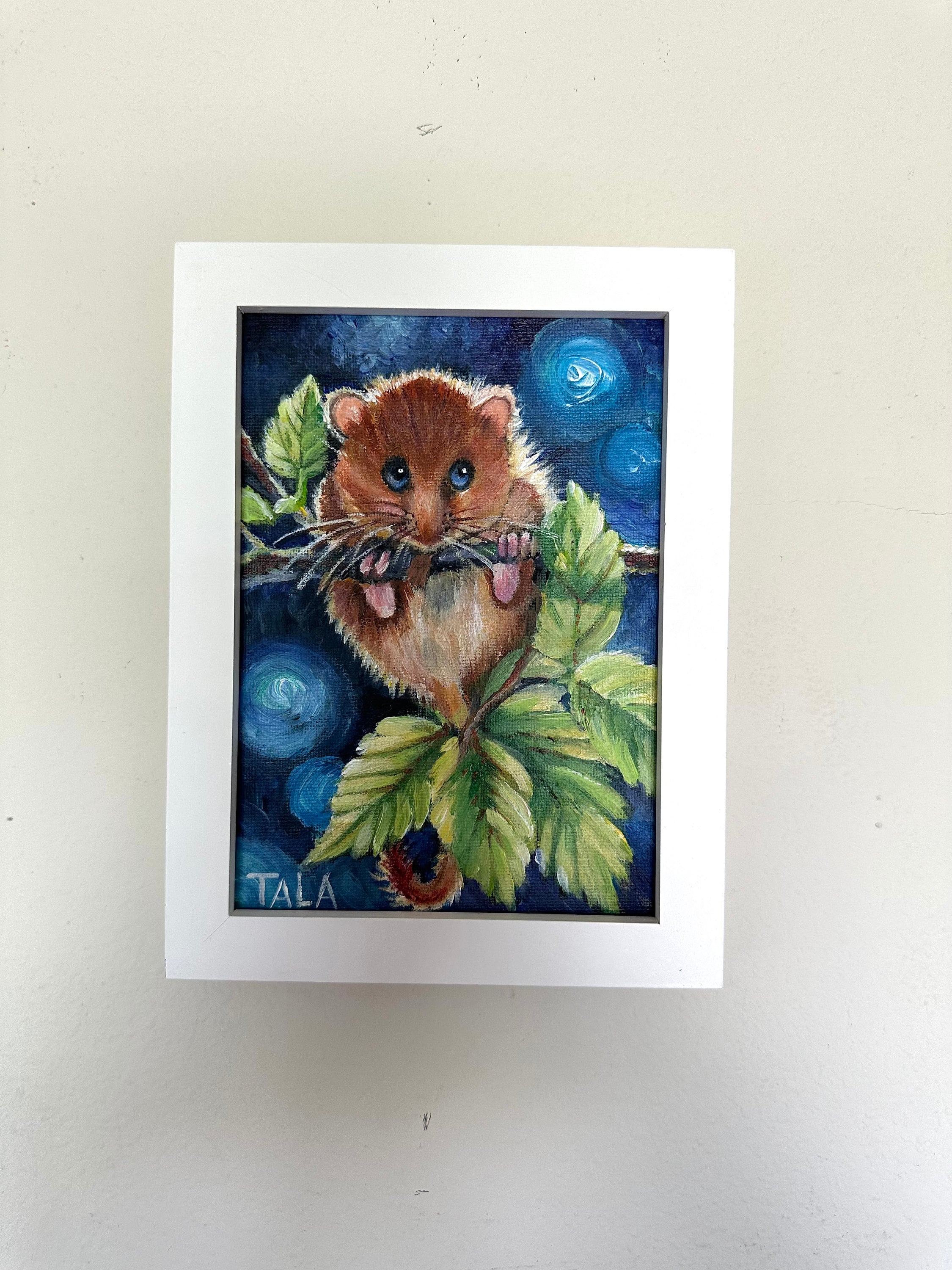 Adorable Bushy-tailed Woodrat the Original pack Rat. Original Art 7x5 ...