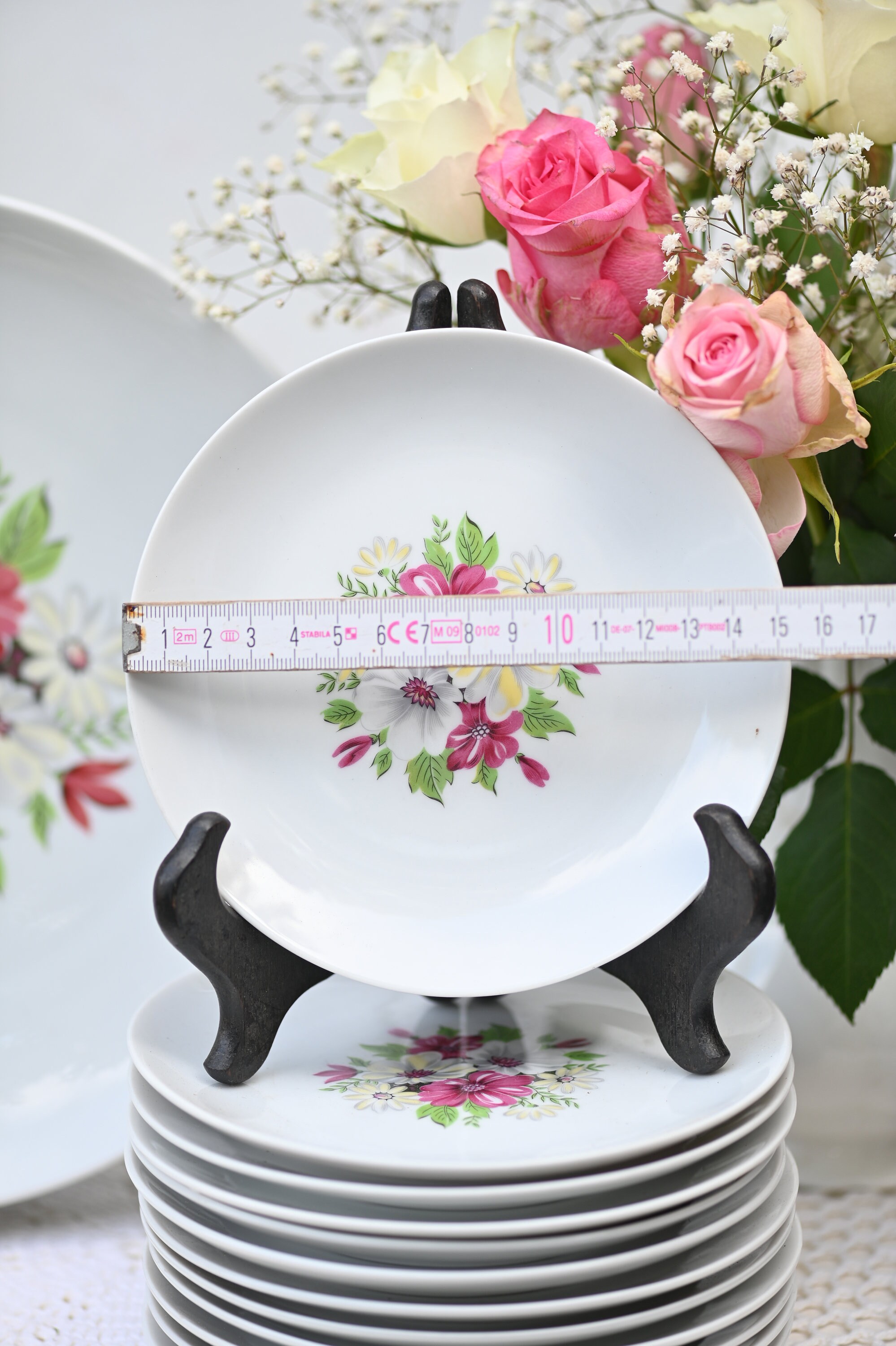 Cake Set Porcelain Set of 1 Large Plate and 12 Saucers. - Etsy