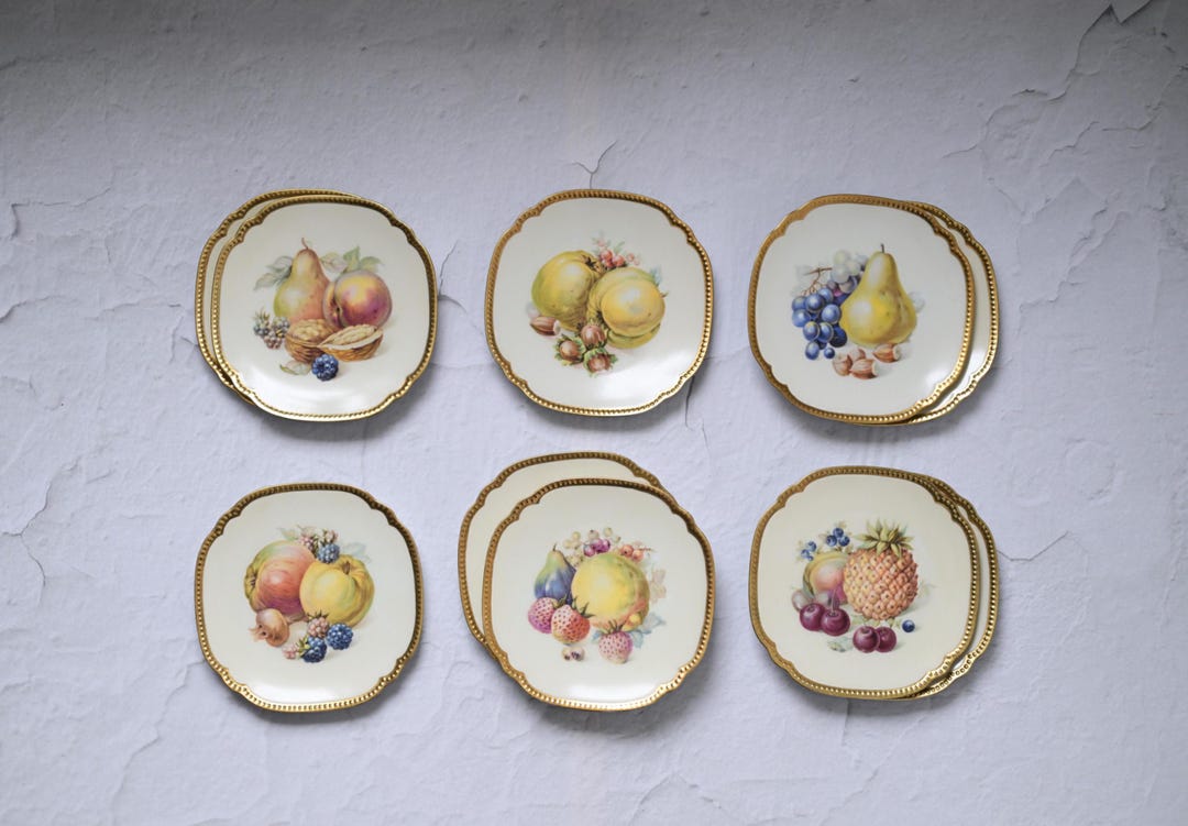 Antique Czech Porcelain Set of 10 Fruit Plates. Verzamelobject. - Etsy