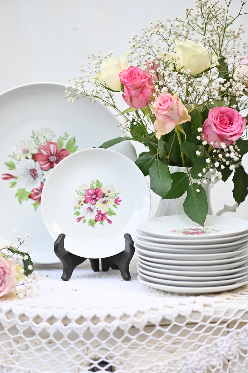 Cake Set Porcelain Set of 1 Large Plate and 12 Saucers. - Etsy