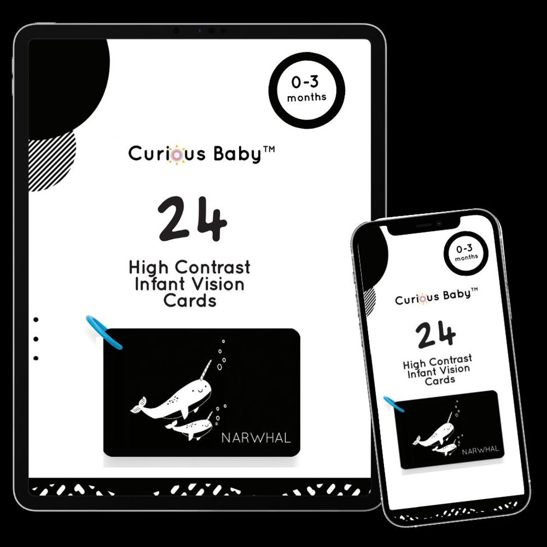High-contrast Vision Cards Expansion Set (digital E-book, 2024) - Etsy