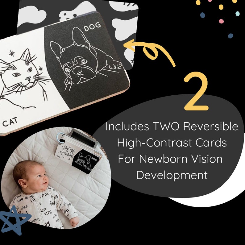 Curious Baby Cards (0-12 Mo) – Award Winning 40+ Developmentally ...