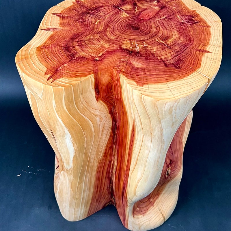 Stump Side Table - Etsy