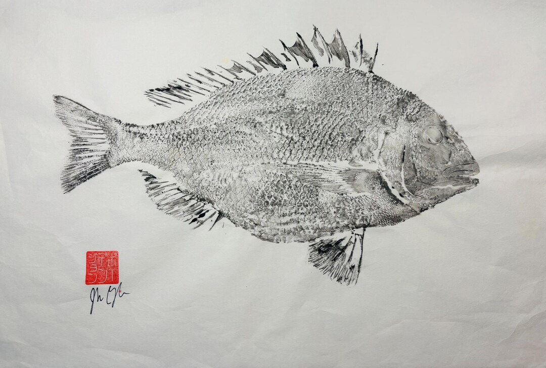 Original Gyotaku Fish Print - Sheepshead #3 - Unmounted - Etsy
