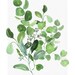 Sage Green Wall Art | Digital Wall Art | Sage Green Flowers | Digital ...