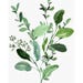 Sage Green Wall Art | Digital Wall Art | Sage Green Flowers | Digital ...