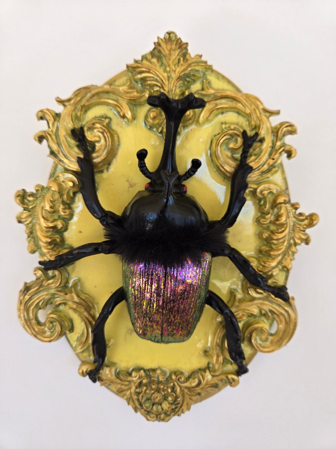 Fancy Beetle Plaques Wall Hanging Faux Taxidermy Color Shifting Insect ...