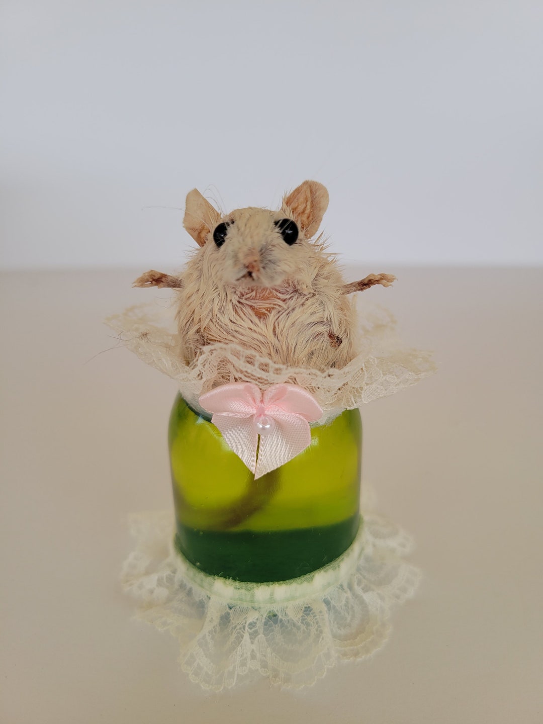 Magic Mouse Calming Jars Sensory Glitter Taxiderpy Weird Novelty ...