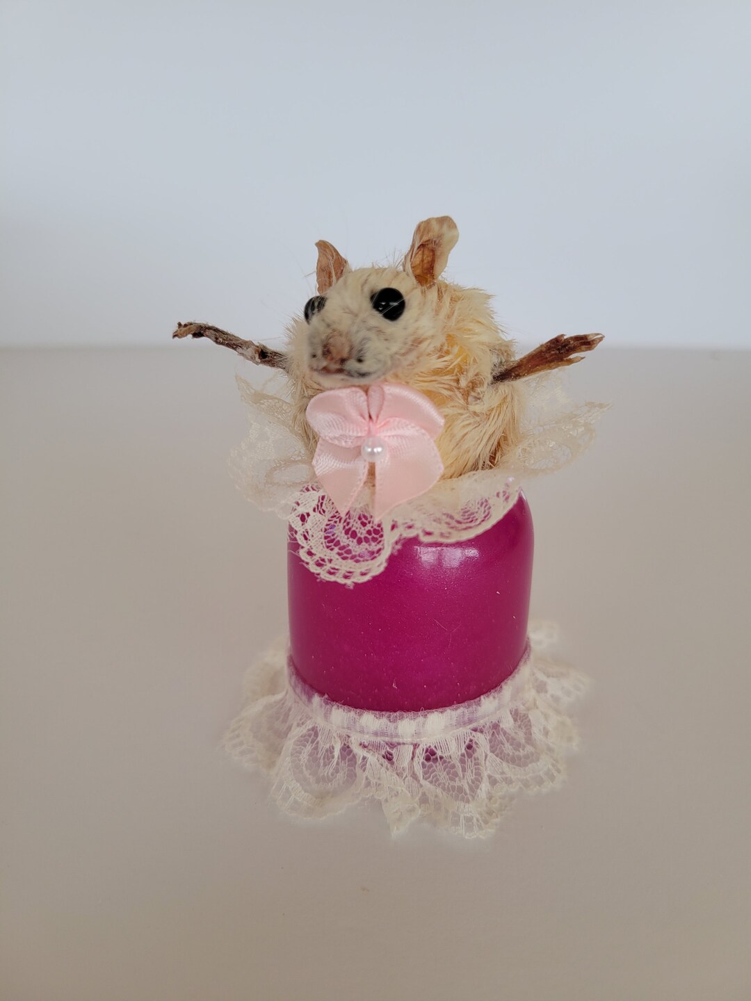 Magic Mouse Calming Jars Sensory Glitter Taxiderpy Weird Novelty ...