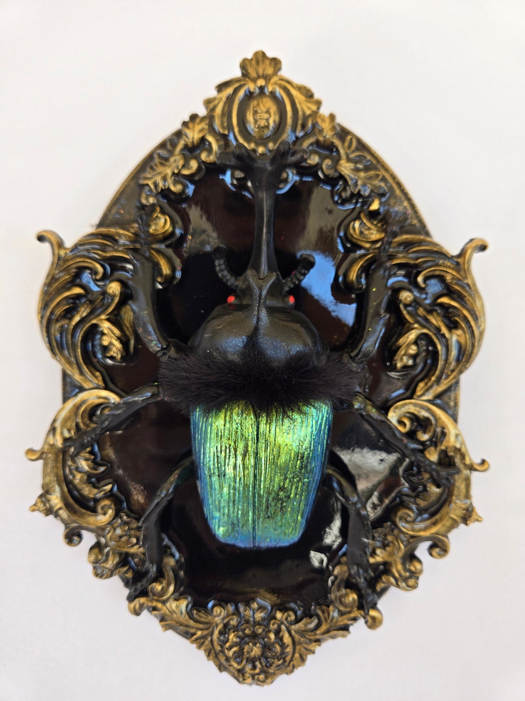 Fancy Beetle Plaques Wall Hanging Faux Taxidermy Color Shifting Insect ...