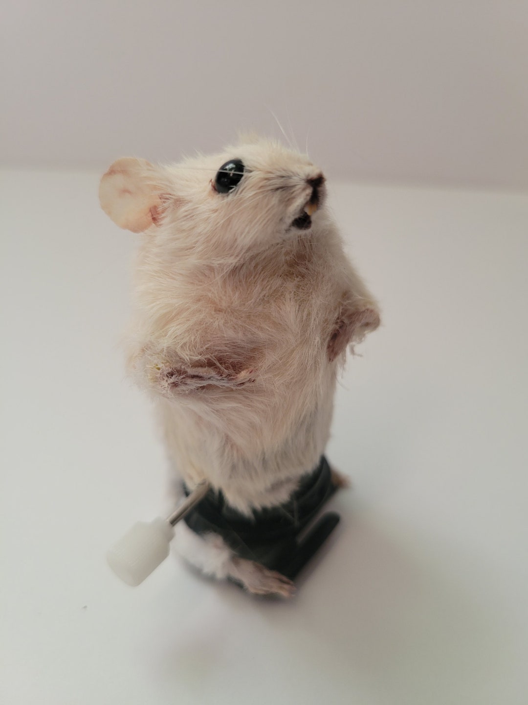 Reanimated Mice Taxiderpy Mouse Wind up Weird Taxidermy - Etsy