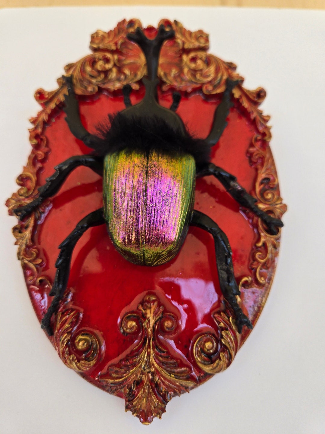 Fancy Beetle Plaques Wall Hanging Faux Taxidermy Color Shifting Insect ...