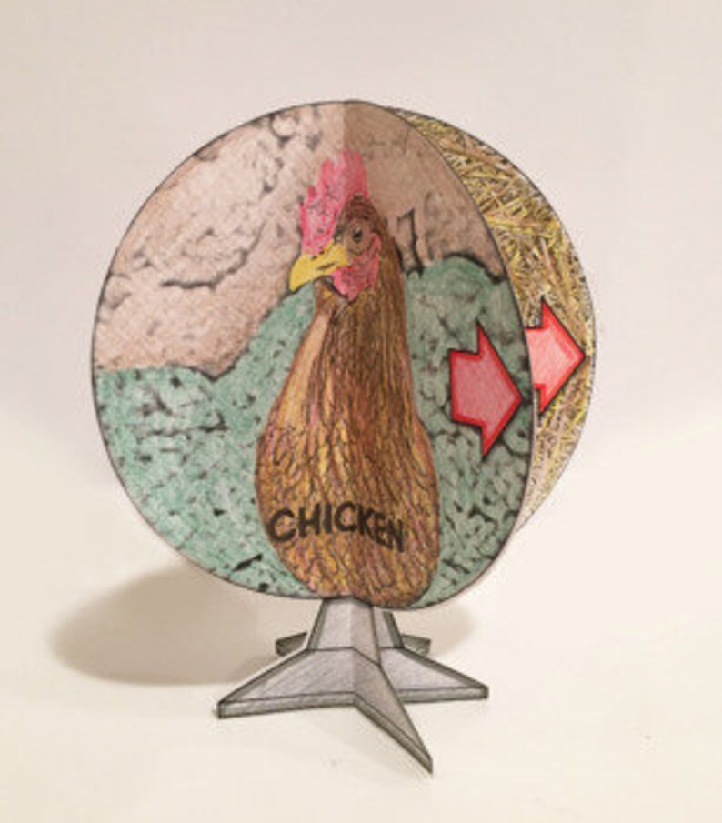 Chicken Life Cycle - 3D Model Craft Activity - 100% Editable ...