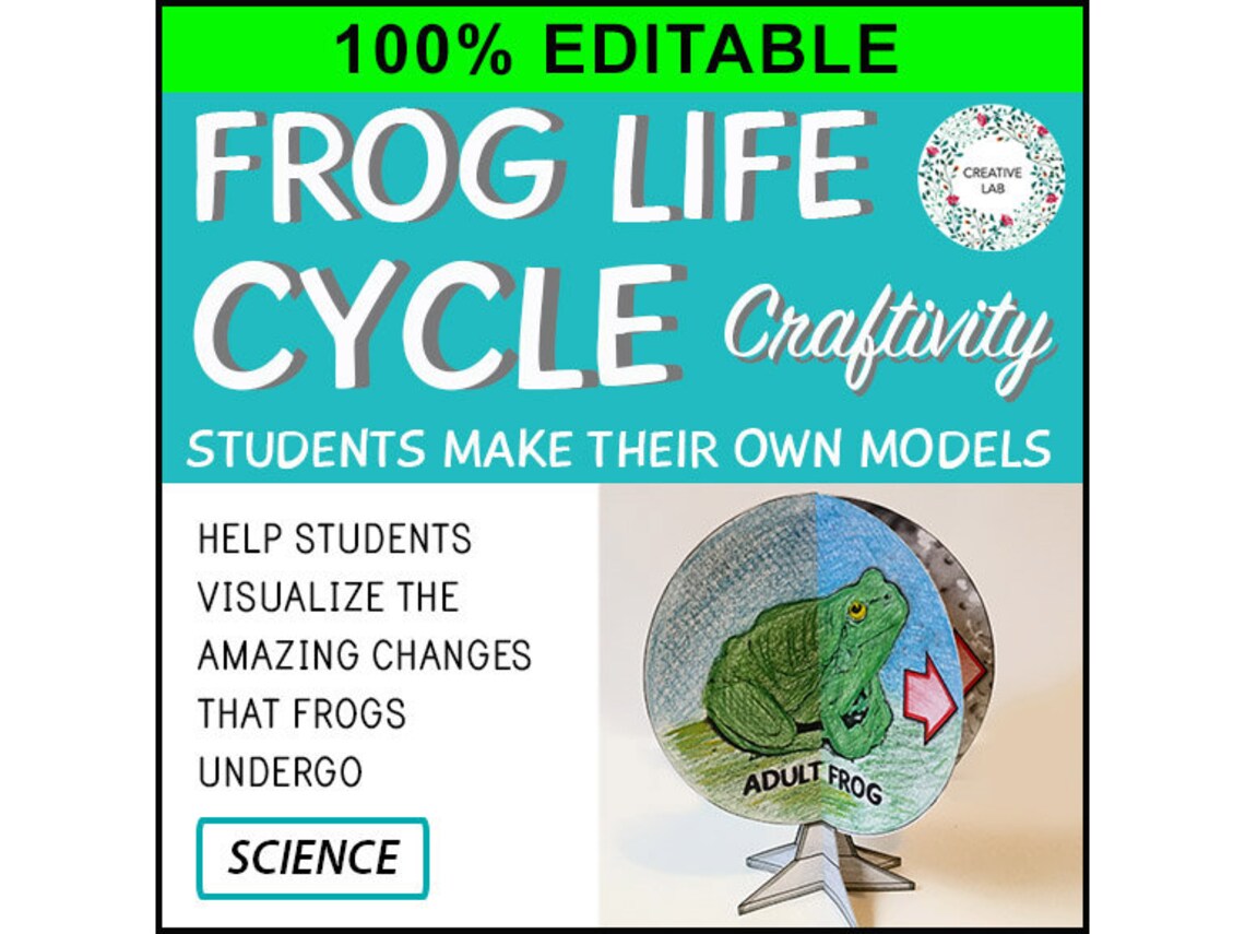 Frog Life Cycle - 3D Model Craft Activity - 100% Editable // Printable ...